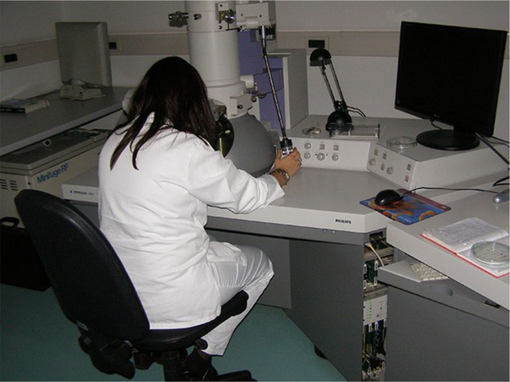 Laboratorij za ultrastrukturalnu analizu – Medicinski Fakultet u Rijeci
